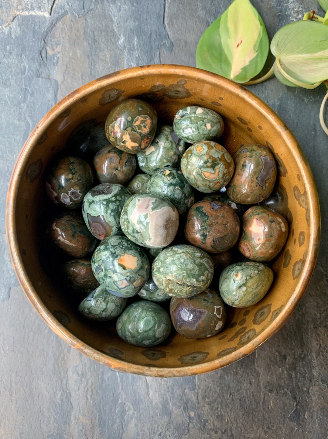 Rainforest Jasper/jungle Jasper Tumbles - Etsy