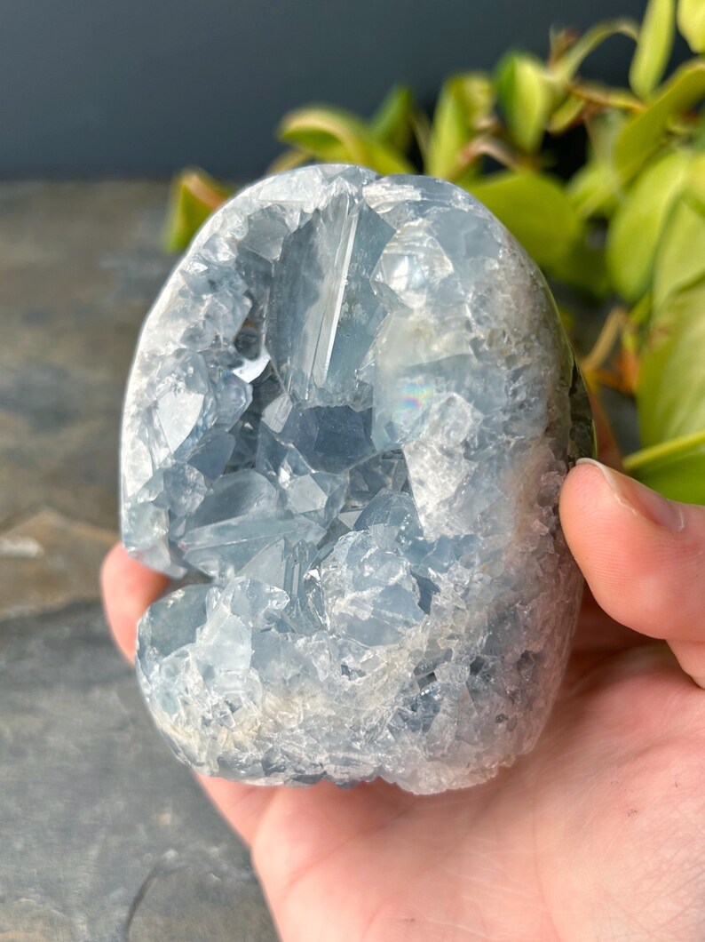 Celestite Cut Base Geode - Beautiful Color - Etsy