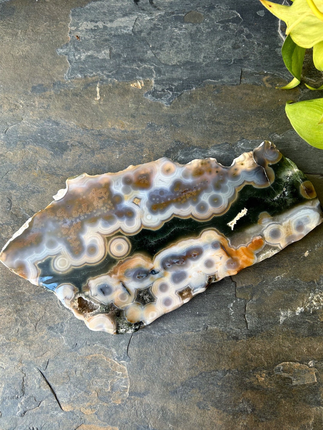 Ocean Jasper Slab- Nice “old Vein”, Old Stock Ocean Jasper. - Etsy