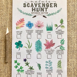 Printable Leaf Identification Nature Scavenger Hunt for Kids Trail ...