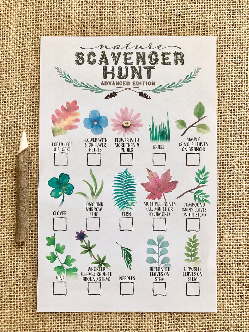 Printable Leaf Identification Nature Scavenger Hunt for Kids Trail ...