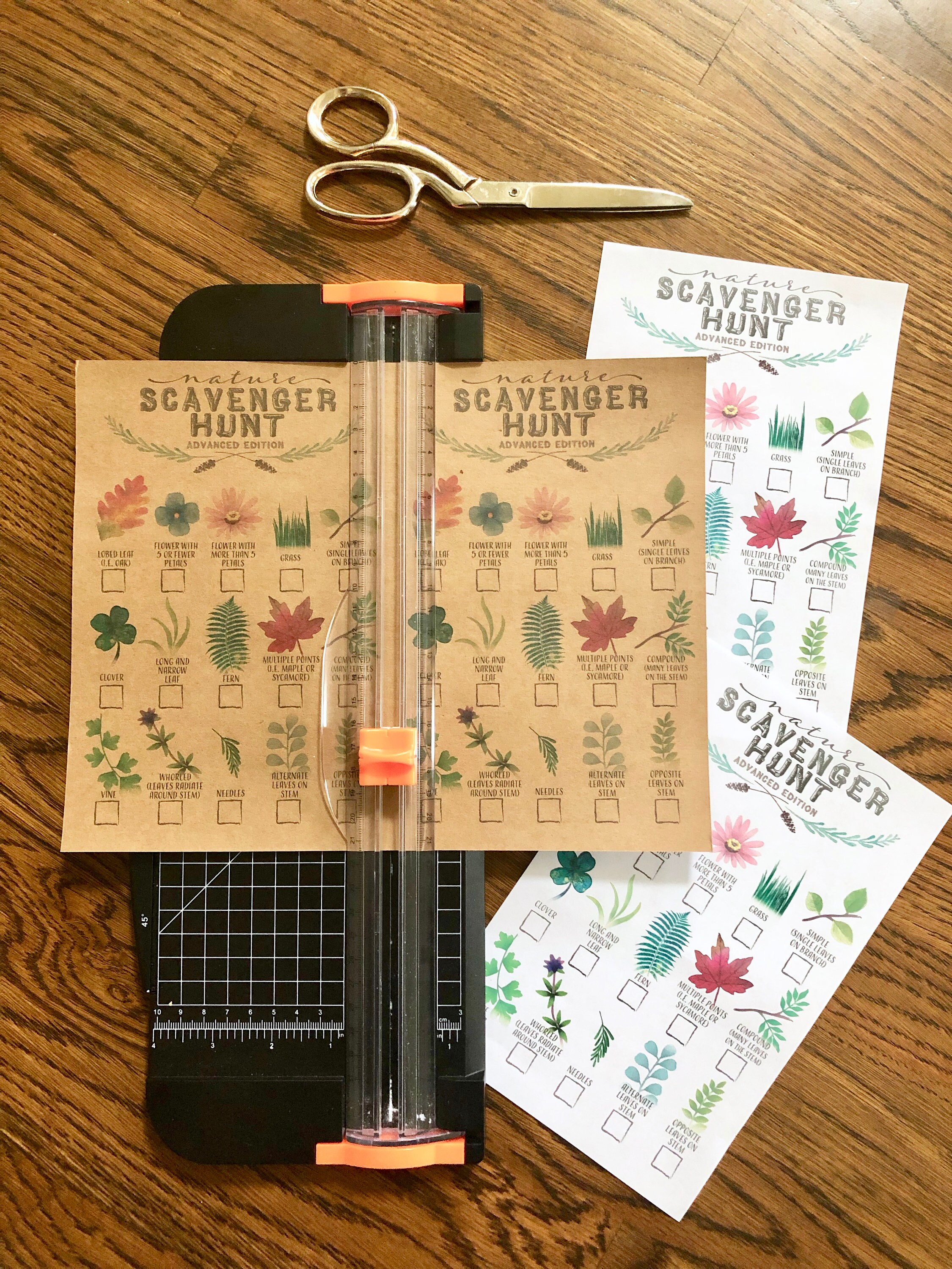 Printable Leaf Identification Nature Scavenger Hunt for Kids Trail ...