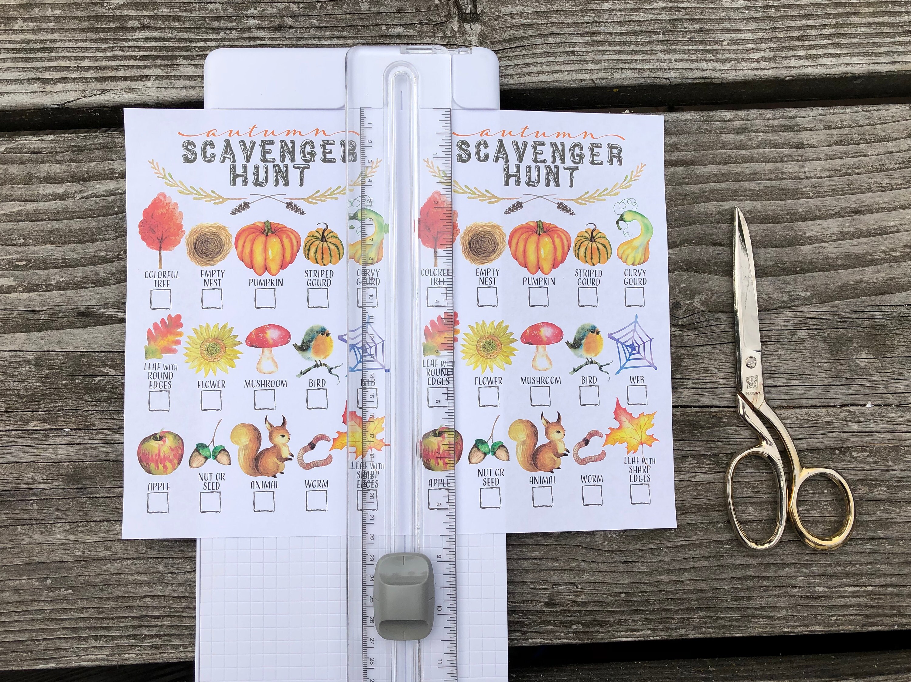 Printable Fall Autumn Scavenger Hunt for Kids Watercolor Full Color for ...
