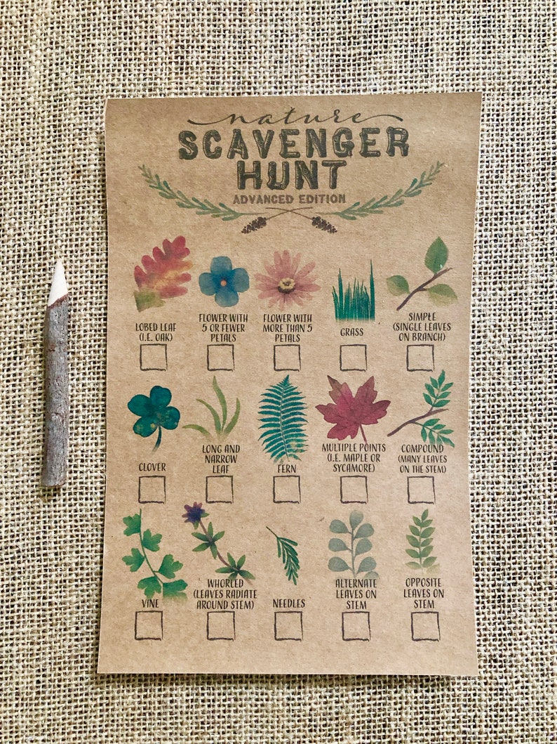 Printable Leaf Identification Nature Scavenger Hunt for Kids - Etsy