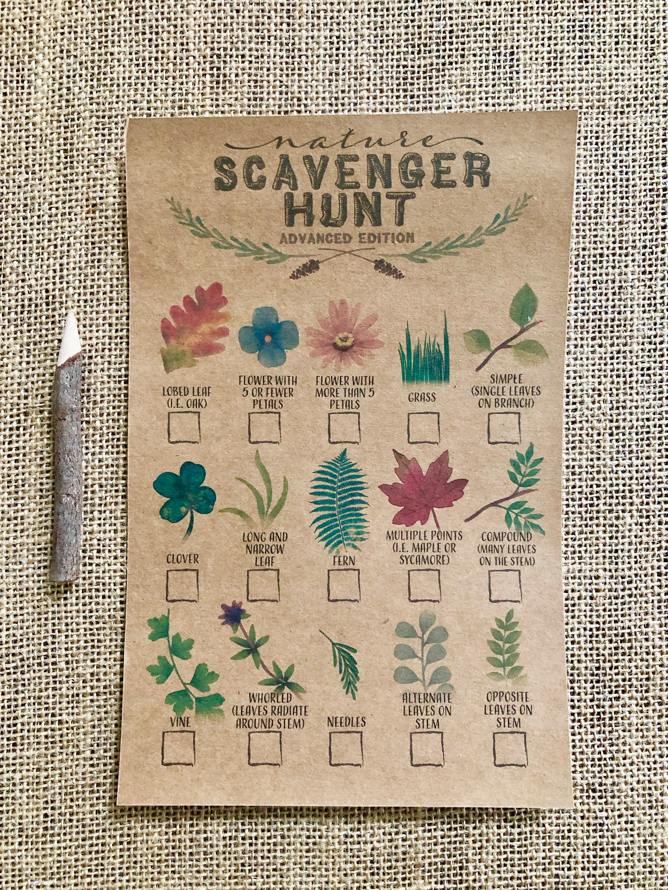 Printable Leaf Identification Nature Scavenger Hunt for Kids Trail ...