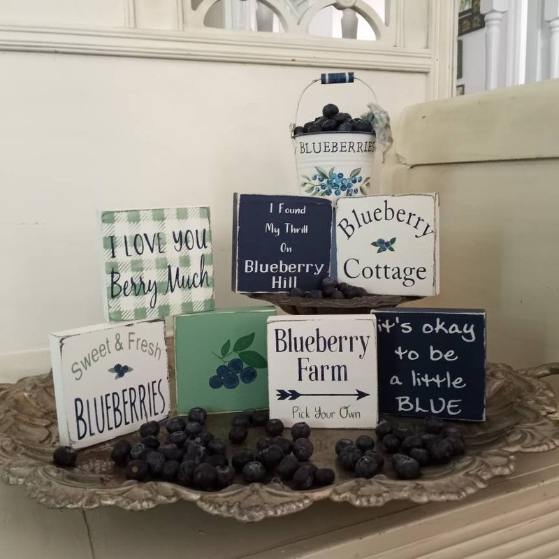 Blueberry Decor - Etsy