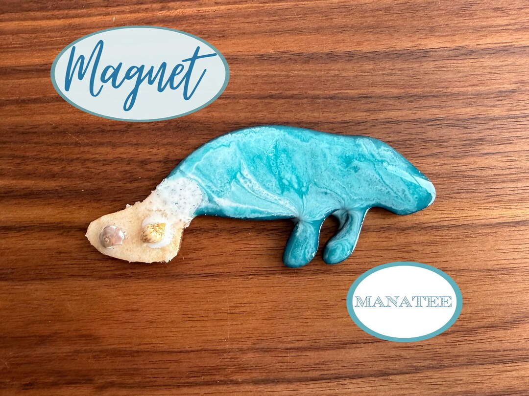 Personalized Manatee Magnet: Coastal Florida Souvenir - Etsy