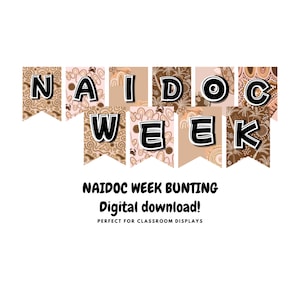 NAIDOC Week Indigenous Pink Bunting Classroom Preschool Daycare ...