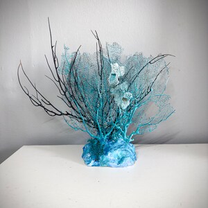 Coastal Home Decor, Sea Fan, Nautical Home Decor, Ocean Reef Beach ...