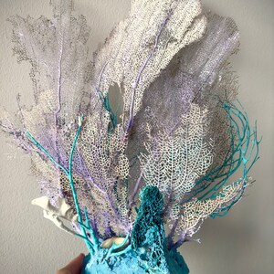Nautical Home Decor, Sea Fan, Natural White Sea Fan, Coastal Home Decor ...