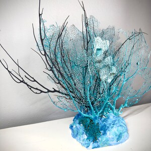 Coastal Home Decor, Sea Fan, Nautical Home Decor, Ocean Reef Beach ...