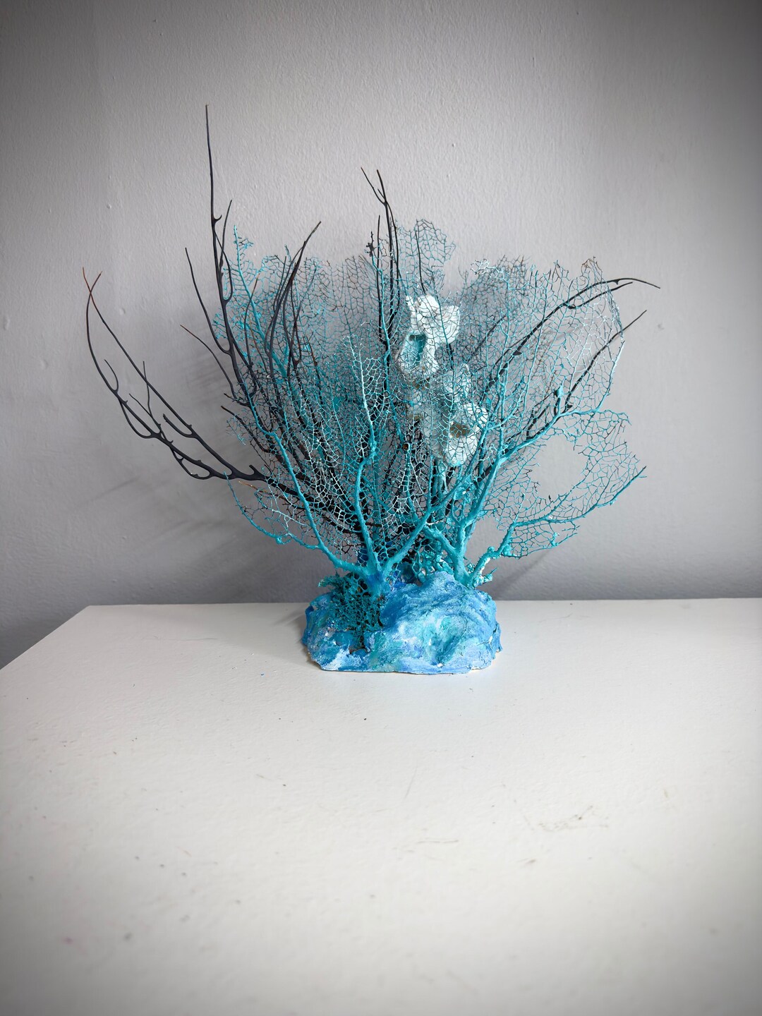 Coastal Home Decor, Sea Fan, Nautical Home Decor, Ocean Reef Beach ...