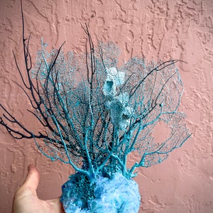 Coastal Home Decor, Sea Fan, Nautical Home Decor, Ocean Reef Beach ...