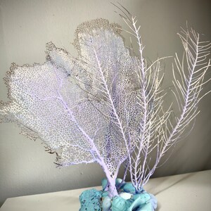 Coastal Home Decor, Natural White Sea Fan, Nautical Home Decor, Ocean ...