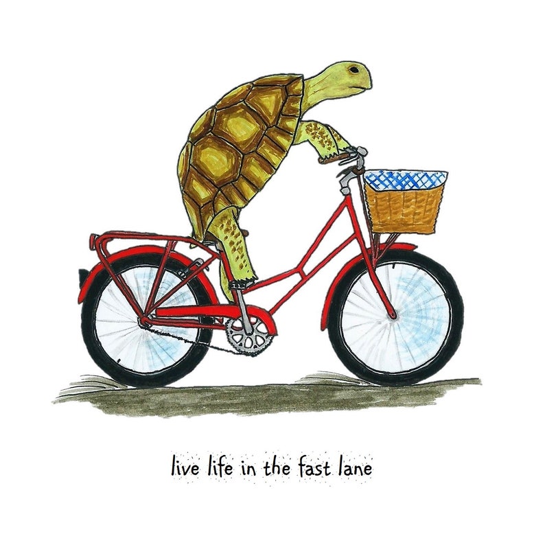 Tortoise Birthday Card 'live Life in the Fast Lane', Bike, Cycling ...