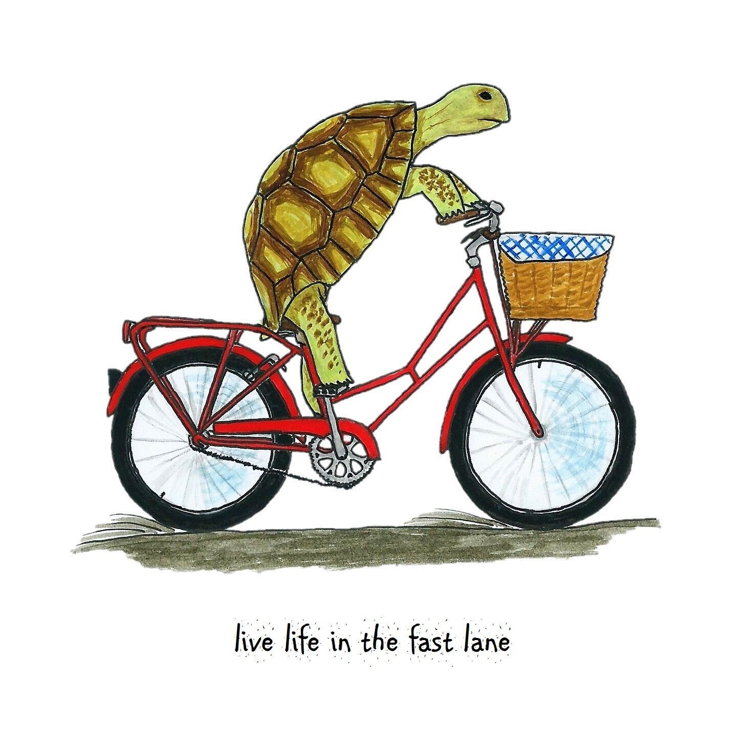 Tortoise Birthday Card 'live Life in the Fast Lane', Bike, Cycling ...
