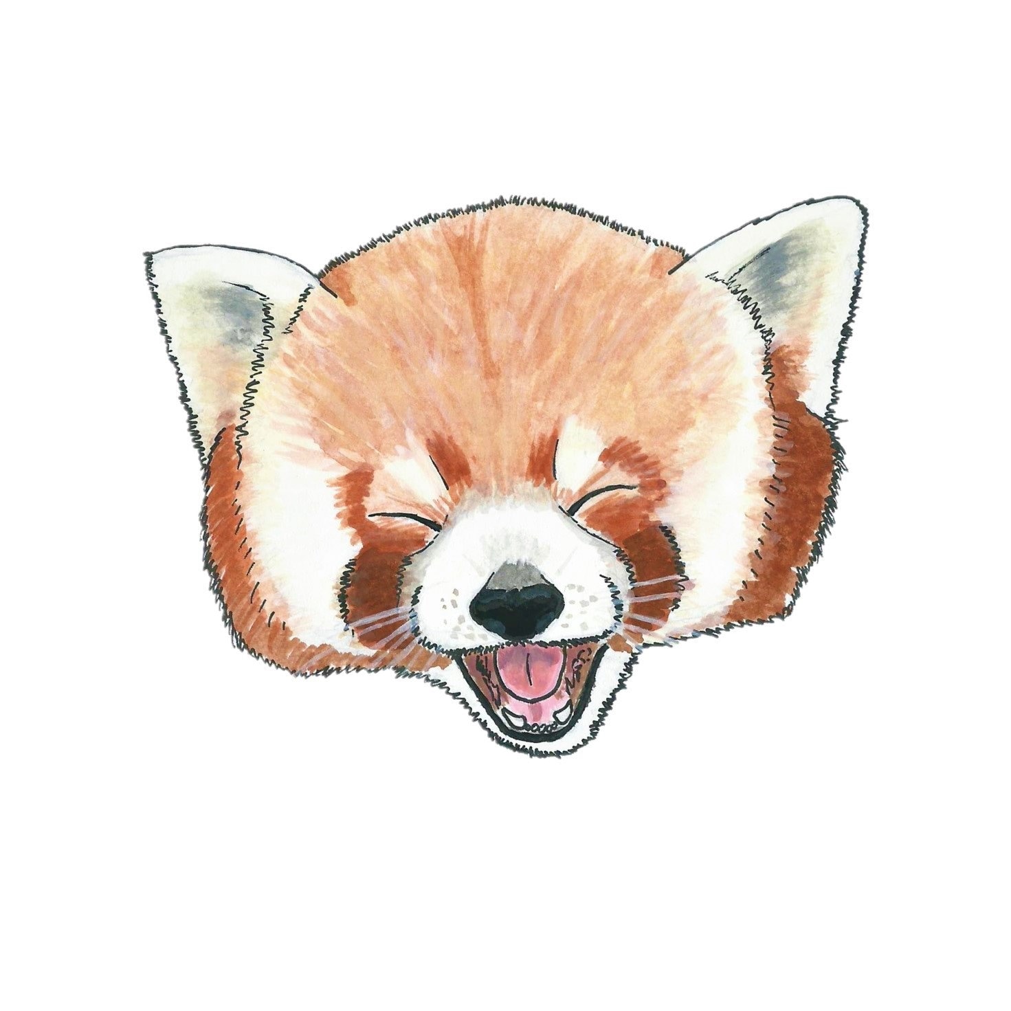 Red Panda Birthday Card 'it's Your Birthday' - Etsy UK