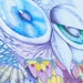 The Eye of the Owl - Etsy