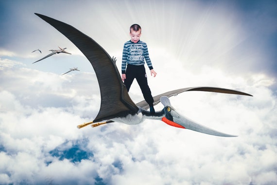 Art & Collectibles Pterodactyl Flying Dinosaur Dinosaur Bird in Sky ...