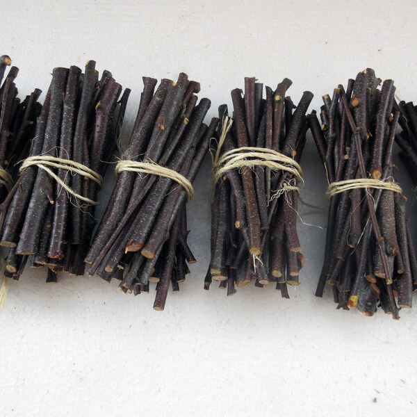 Twig Bundle - Etsy