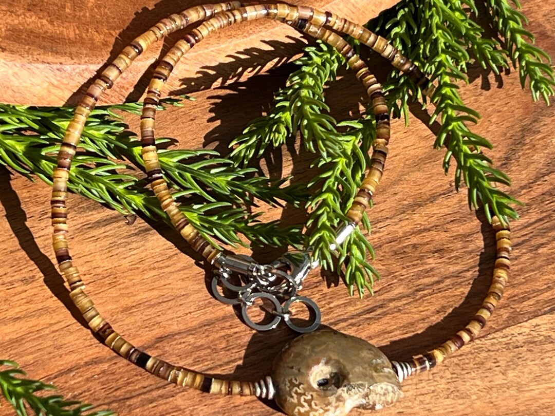 Ancient Rainbow Ammonite Fossil and Brown Pen Shell Handmade Necklace ...