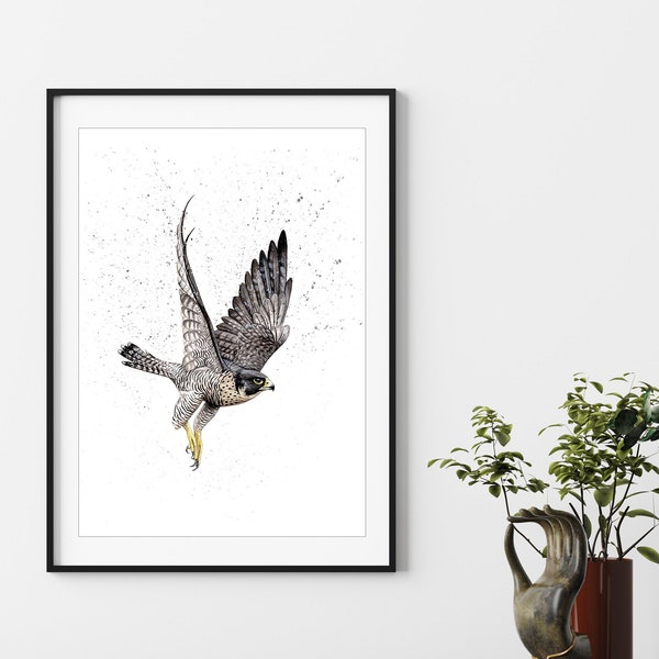 Peregrine Falcon - Etsy