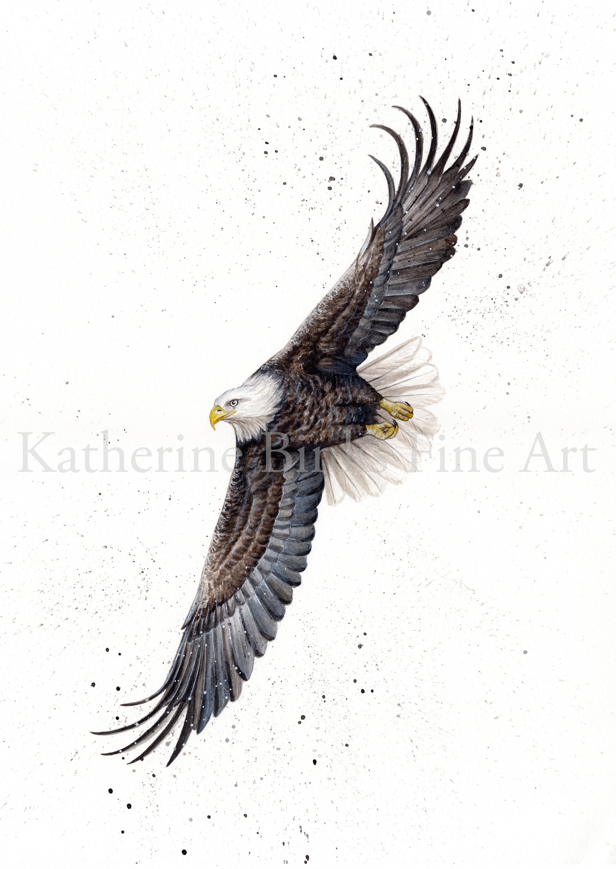 Flying Bald Eagle Print in Various Sizes - Etsy UK