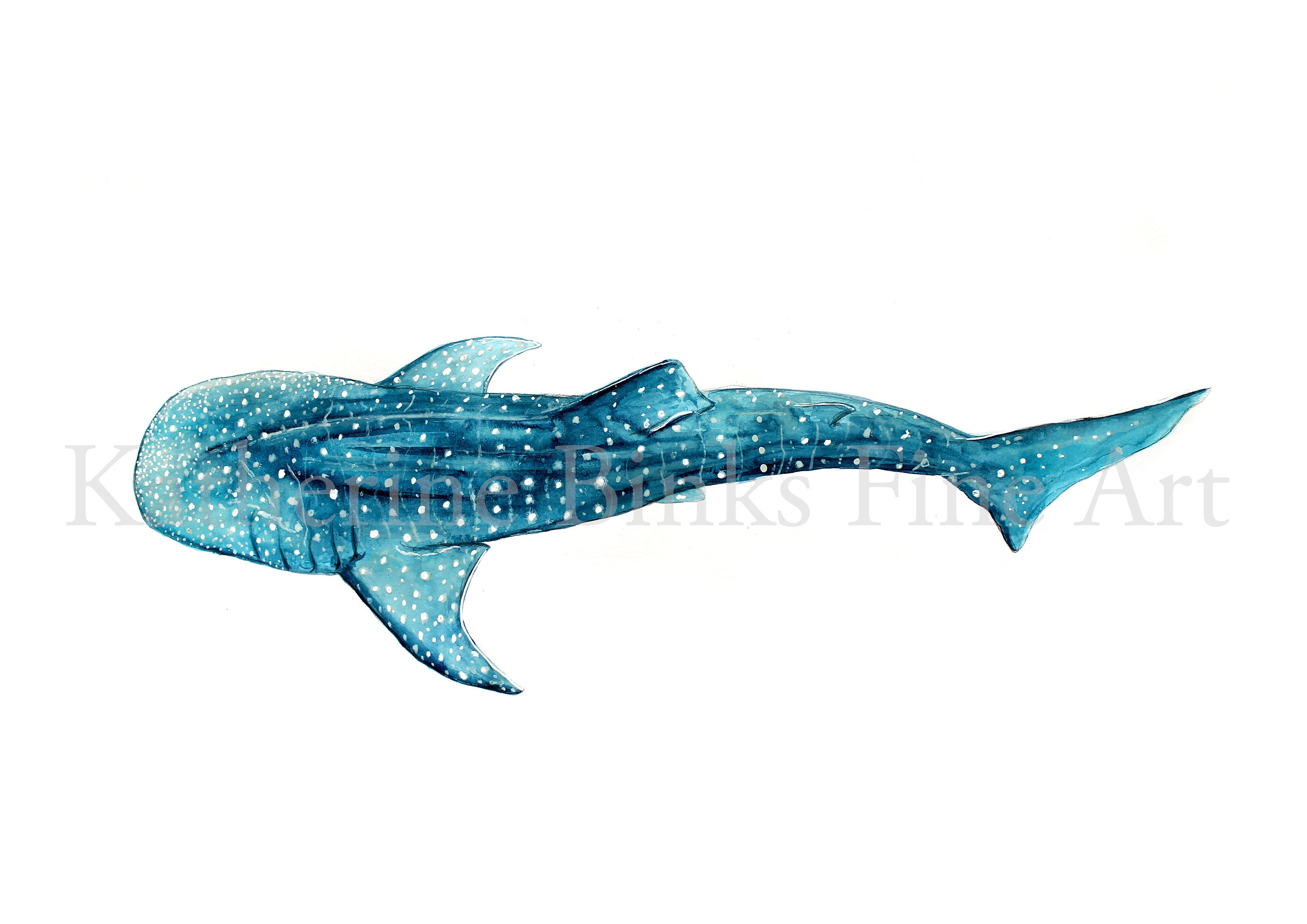 Whale Shark Giclee Print with or Without Text in Various - Etsy UK