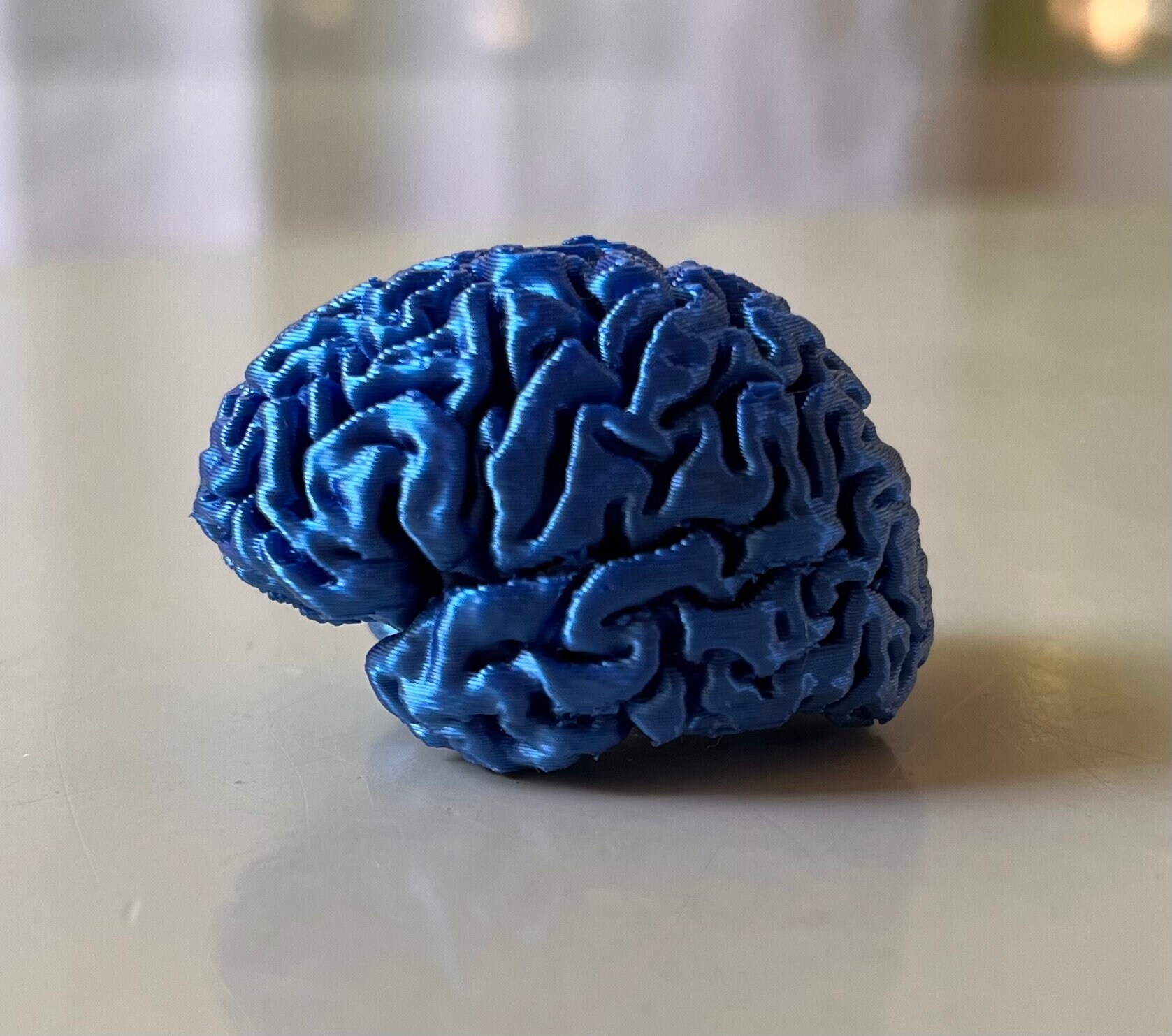 Small 3d-printed Replica of a Unique Human Brain hard PLA - Etsy