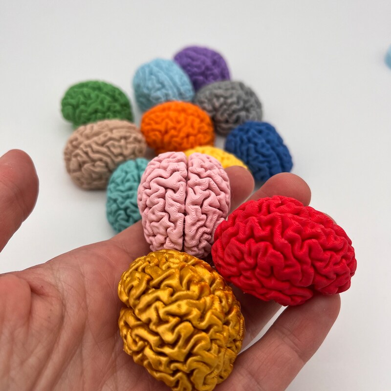 Brain Stress Ball - Etsy Australia