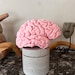 Matte Pink Life Size Brain Replica - Etsy