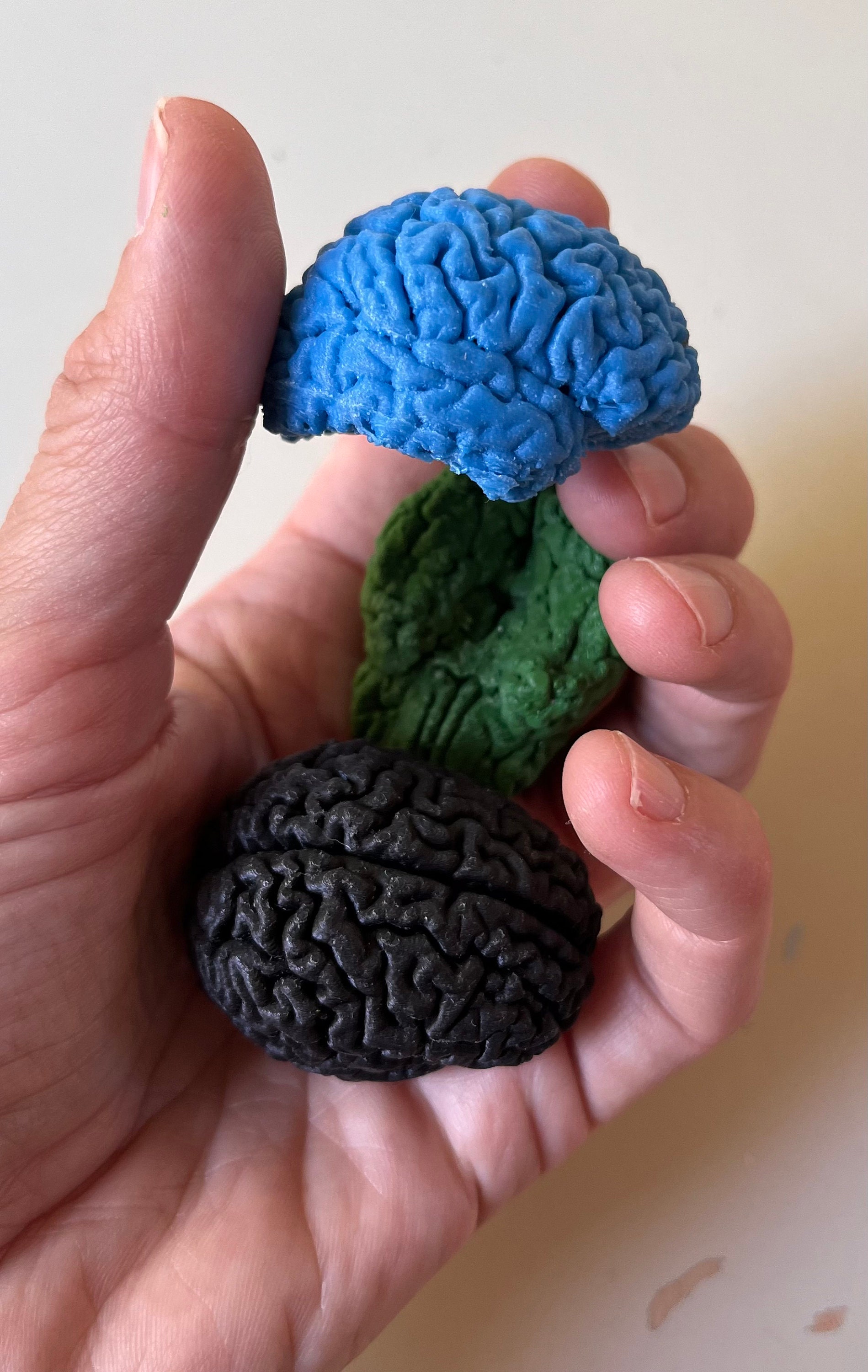 Small 3d-printed Replica of a Unique Human Brain hard PLA - Etsy