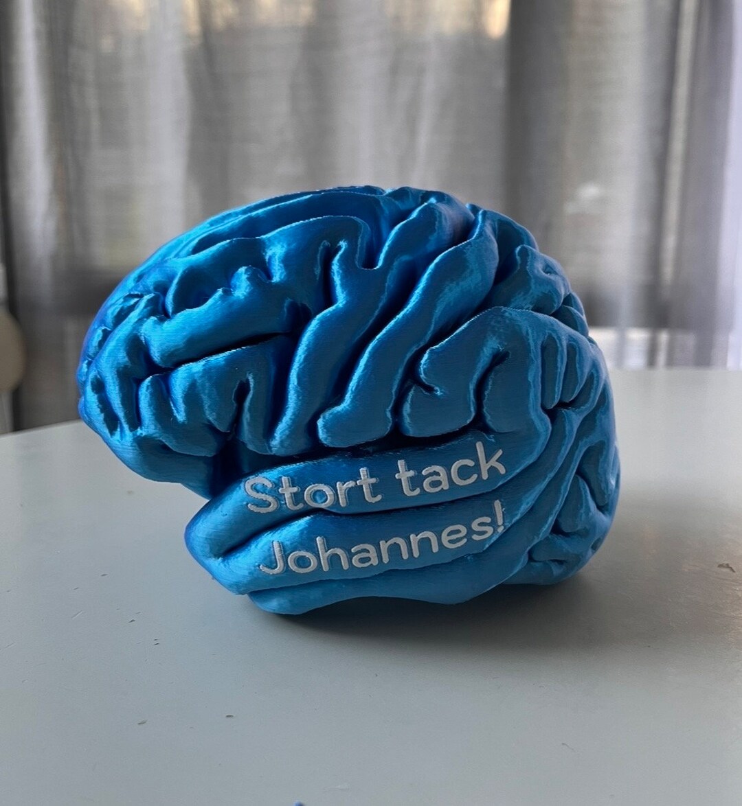 Custom Life Size Brain Replica With Personalized Inscription - Etsy