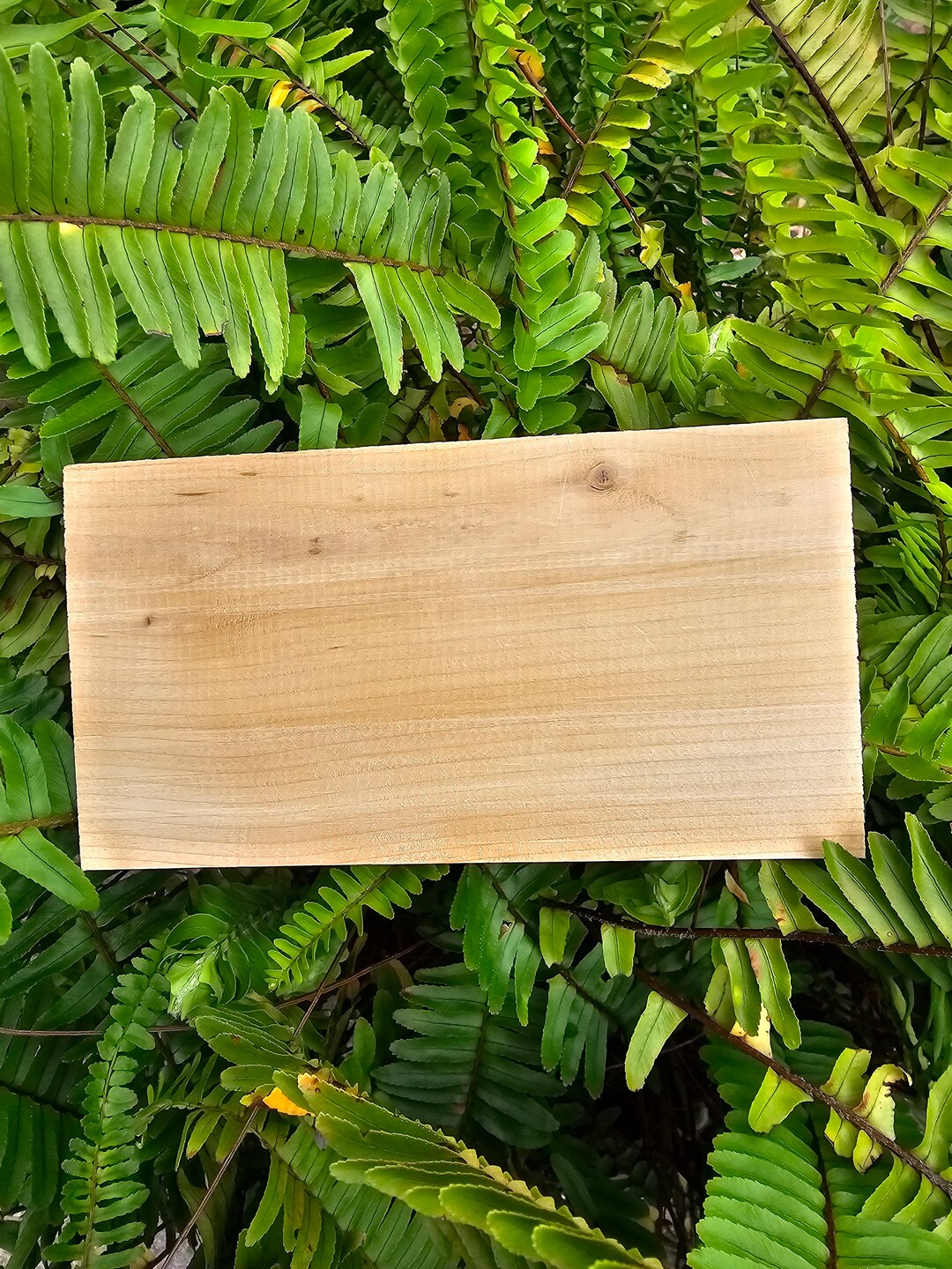 Mini Cedar Grilling Planks That Can Be Used as Craft Tiles or Even ...