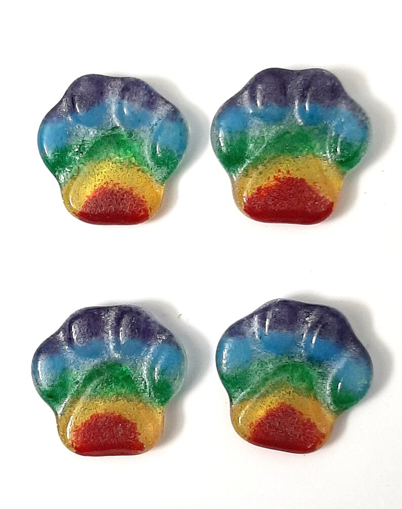 New Set of 4 Rainbow Colored Glass Paw Magnets With Clear Top - Etsy