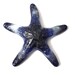 New Blue and White Fused Glass Starfish - Etsy