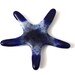 New Blue and White Fused Glass Starfish - Etsy