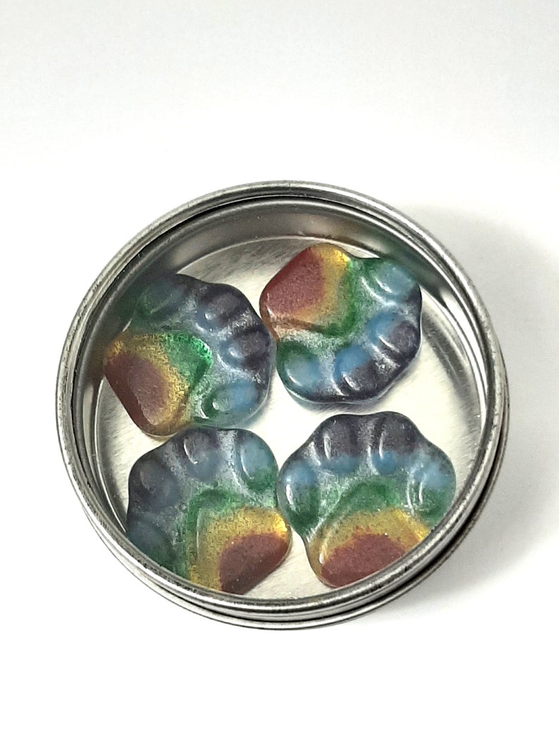 New Set of 4 Rainbow Colored Glass Paw Magnets With Clear Top - Etsy