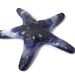 New Blue and White Fused Glass Starfish - Etsy