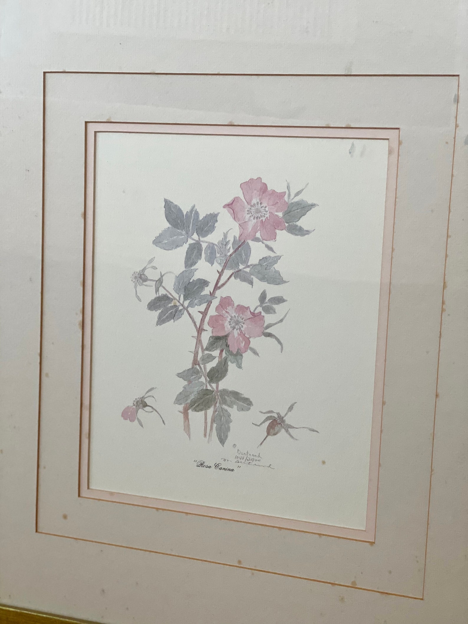 Art, Vintage Mary Bertrand Art Framed and Ready to Hang, 2 Available ...