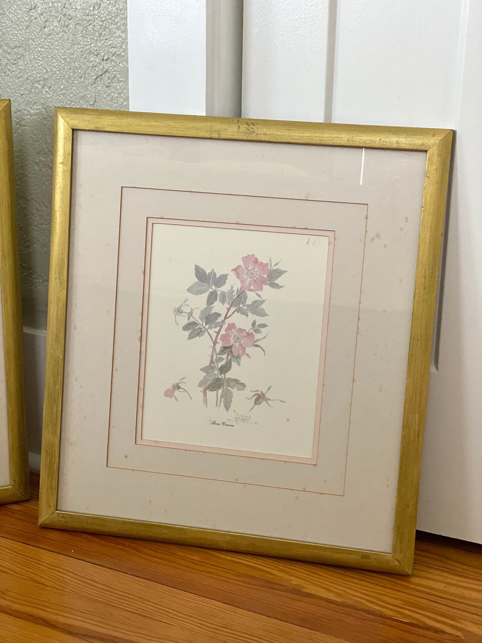 Art, Vintage Mary Bertrand Art Framed and Ready to Hang, 2 Available ...