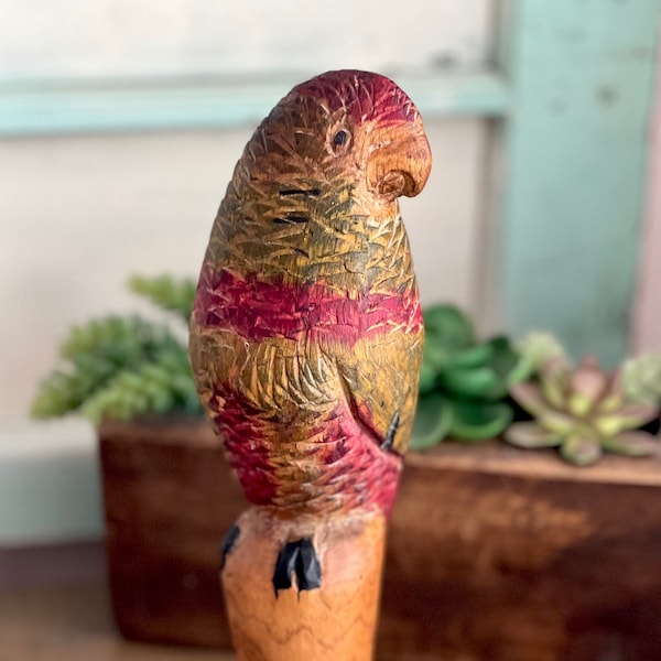 Carved Parrot Shelf - Etsy