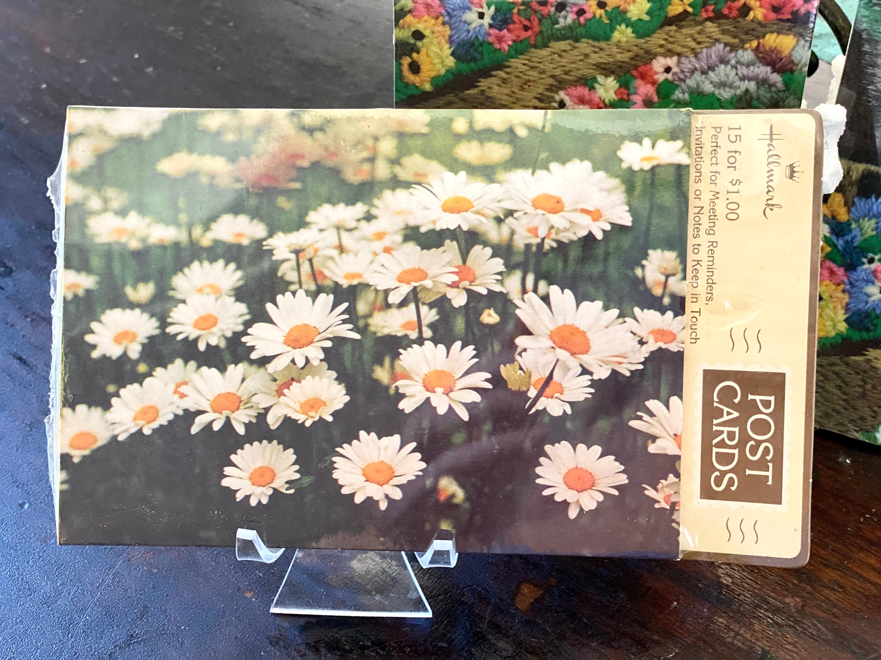 Post Cards Vintage Post Card Pack with BLANK Message Vintage | Etsy