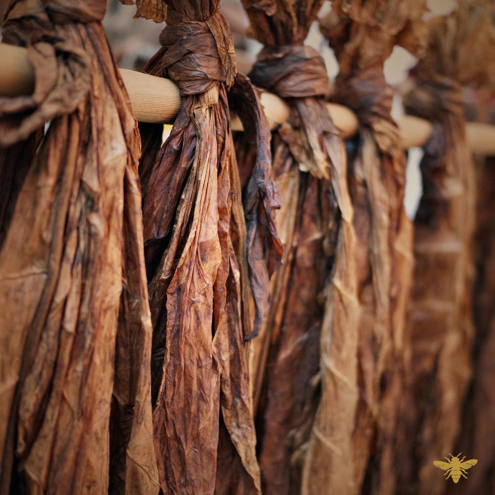 Tobacco and Vanille Tom Ford Fragrance Oil | Hive and Honey | Candle ...