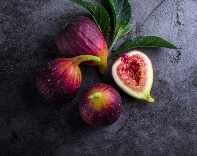 Zinc Core Candle Wicks | 6" Pretabbed, Prewaxed | Bulk 12 Pack or 100 ...