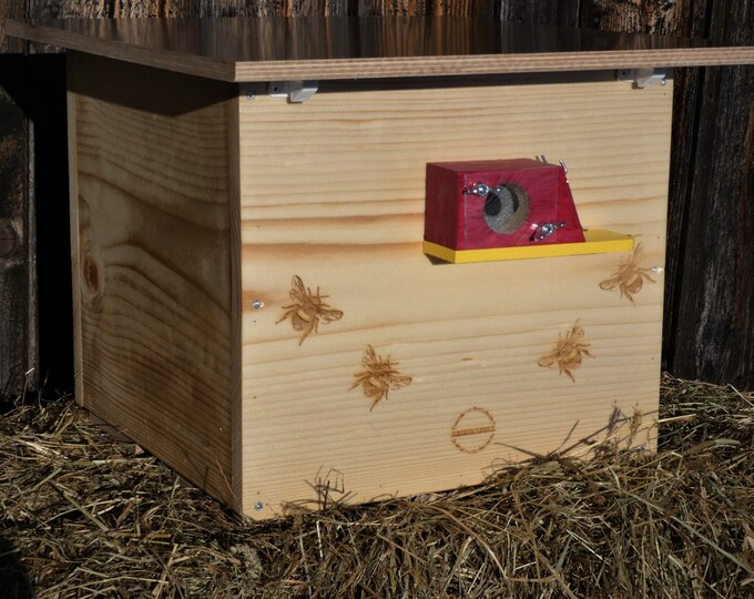 XXL Luxury Bumblebee Box With Wax Moth Lock Viewing Window Nesting ...