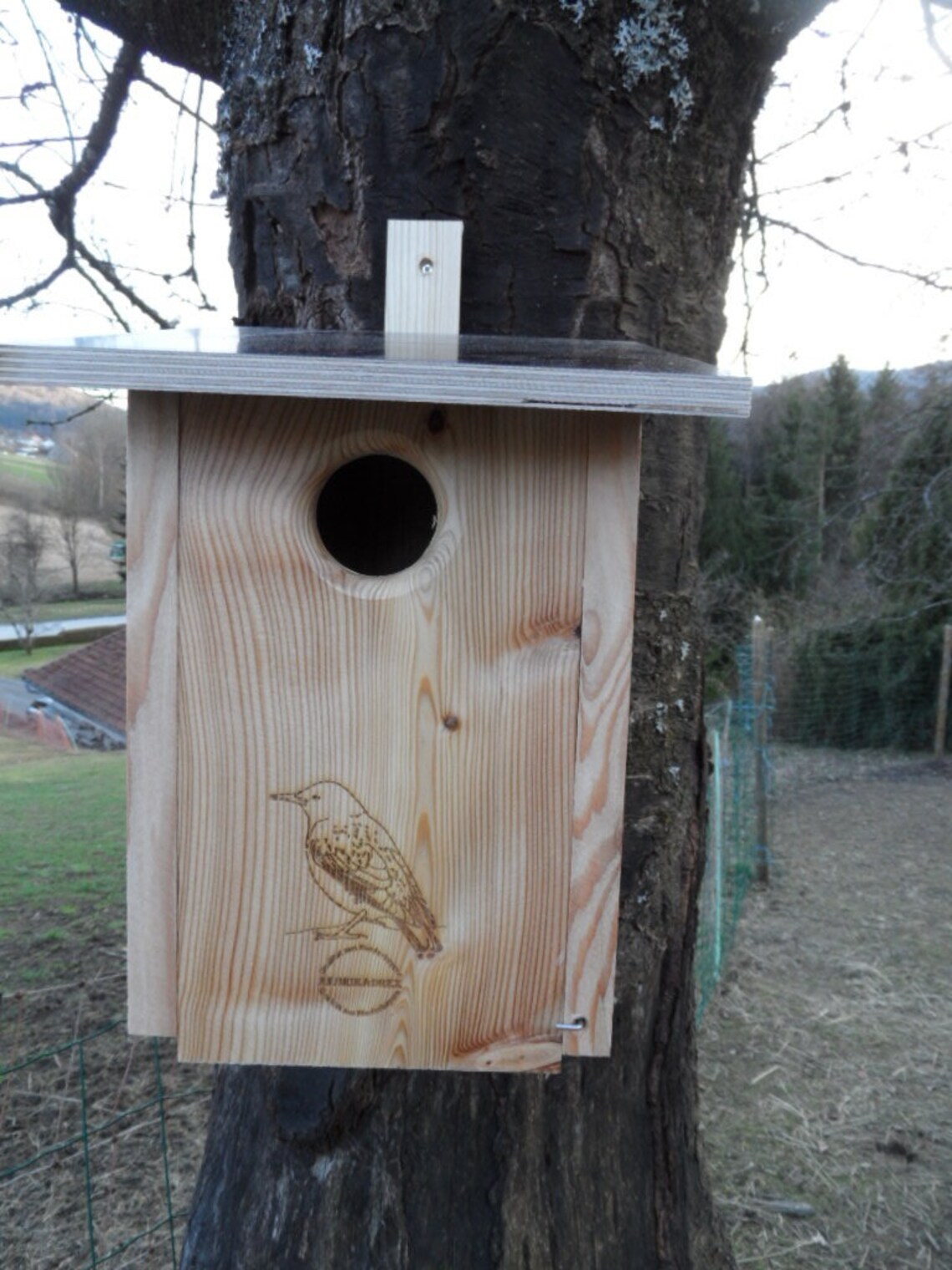 Star WETTERFEST IMPREGNED Nesting Box Made of Premium Larch | Etsy