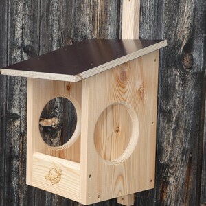 Blackbird Premium Nature Larch Wood Nesting Box According to - Etsy