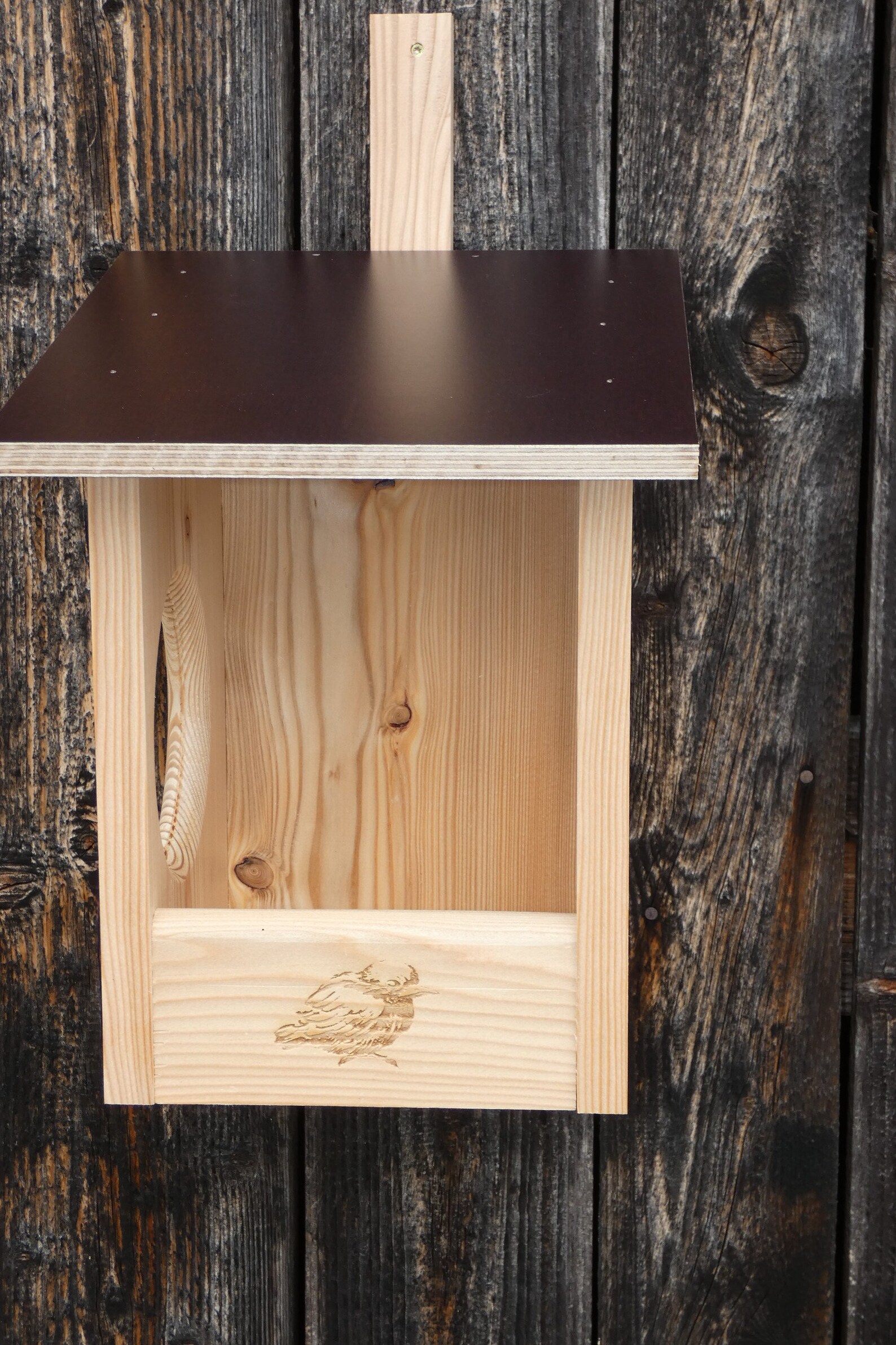 Blackbird Premium Nature Larch Wood Nestbox Untreated - Etsy