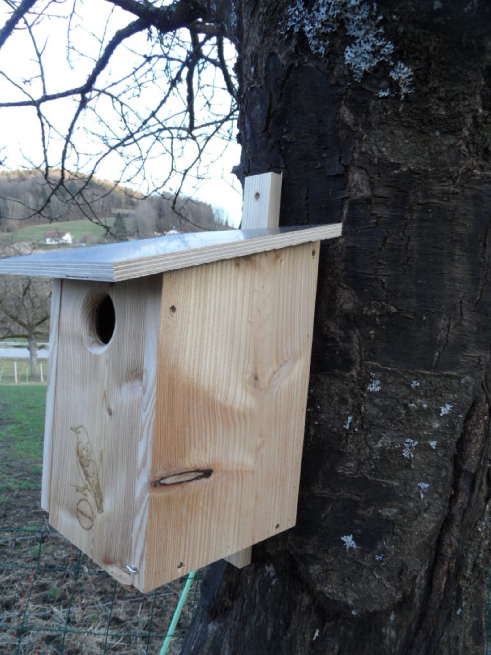 Star WETTERFEST IMPREGNED Nesting Box Made of Premium Larch - Etsy